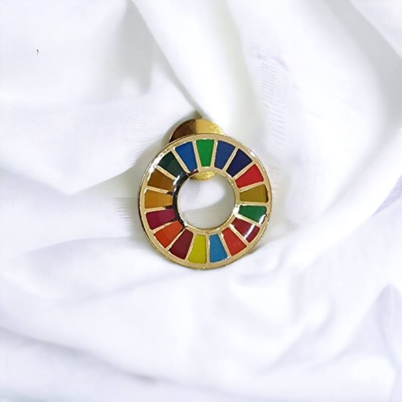 Best price for Sustainable Development Goals (SDG) Lapel Pin ...