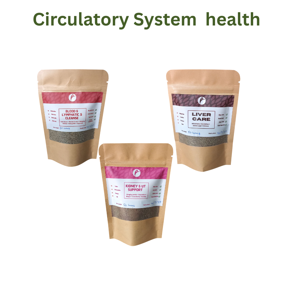 Best price for Circulatory System Cleanse- Liver care, Kidney and ...