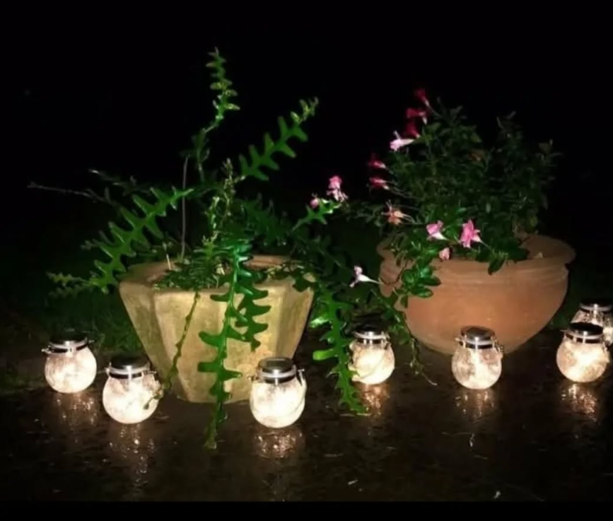 Best price for outdoor Solar pot lantern