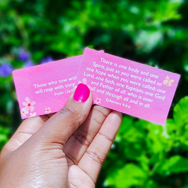 Best price for Precious Promises from The Word Promise Cards in a Tin ...