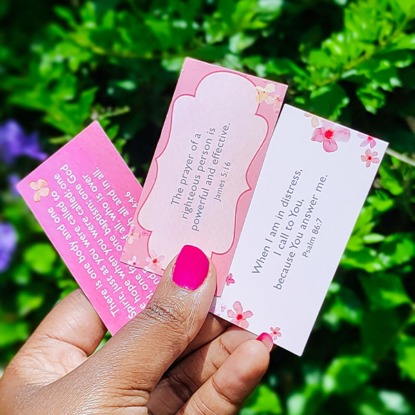 Best price for Precious Promises from The Word Promise Cards in a Tin ...