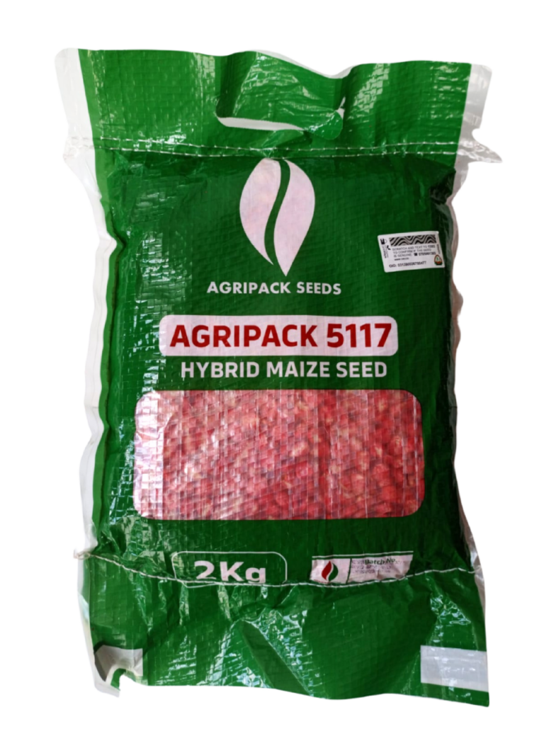 Best price for Agripack Hybrid Maize WE 5117 2kg Size-As a picture ...