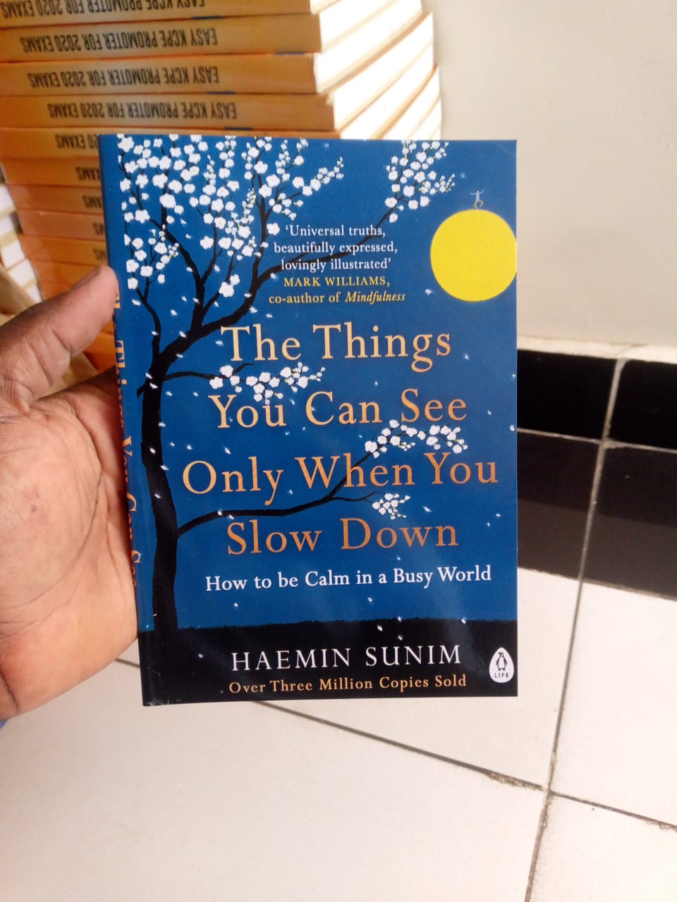 Best price for "The Things You Can See Only When You Slow Down: How to ...