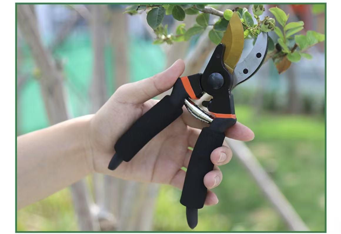 Best price for 1Pcs Pruner Garden Scissors Professional Sharp Bypass ...