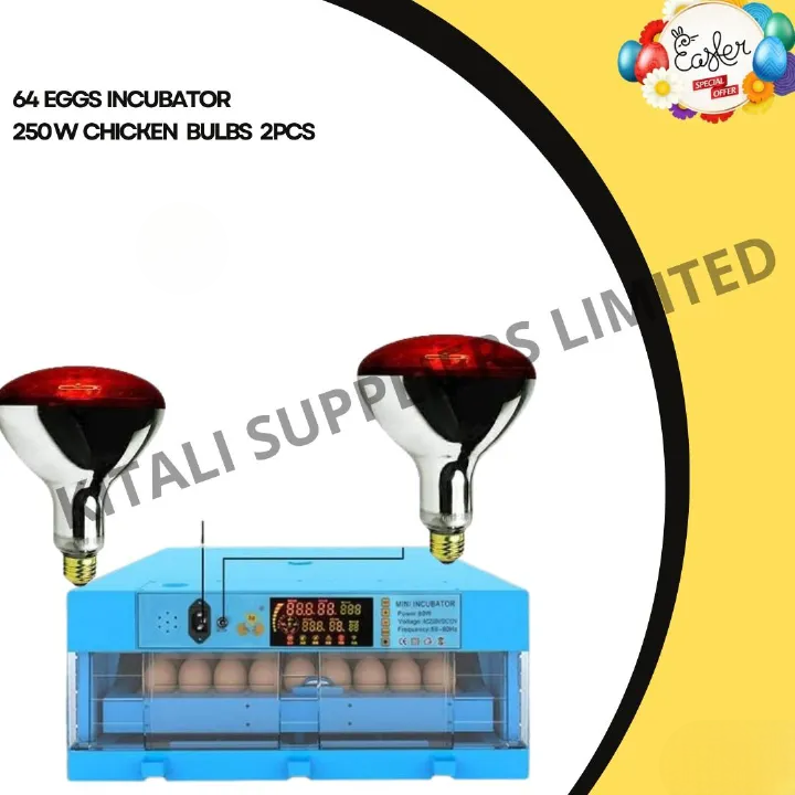 Best price for 64-Egg Digital Automatic Egg Incubator + 2 × 250 W Brick ...