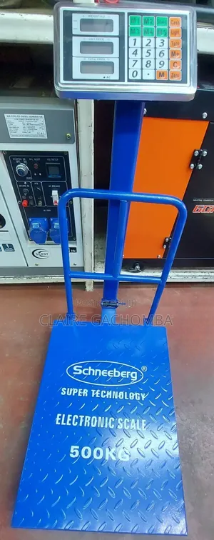 Best price for Schneeberg 300 kg Digital Platform Scale – Heavy-Duty ...
