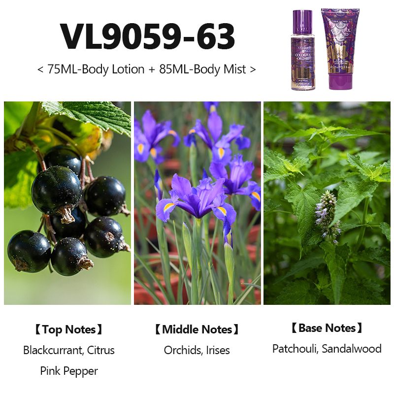 Best price for 2-Piece Women Perfume Body Lotion Set Floral Fragrance ...